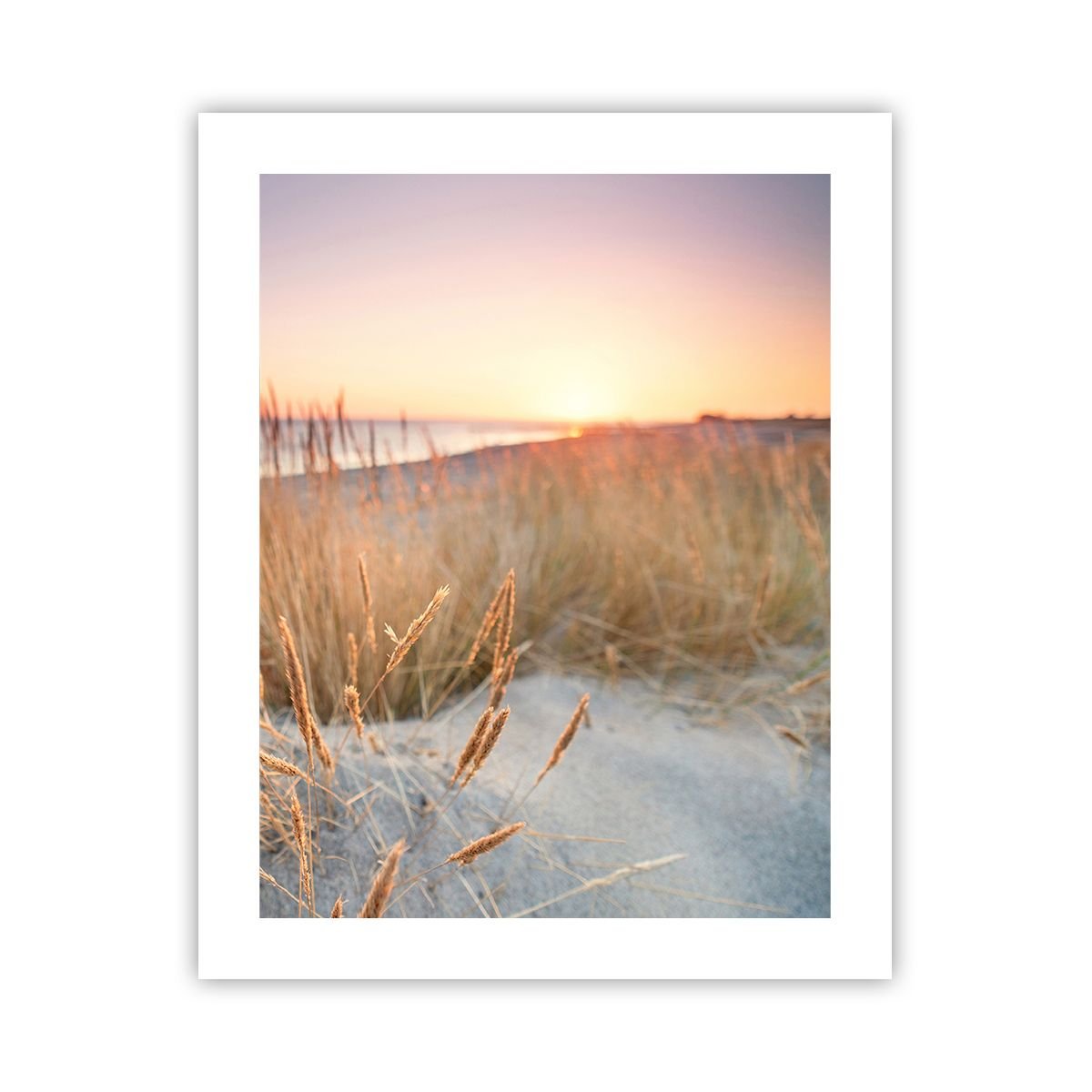 Obraz - Plakat - Bałtycka kołysanka - 40x50cm - Nadmorski Krajobraz Morze Wydma - Foto Plakaty ...