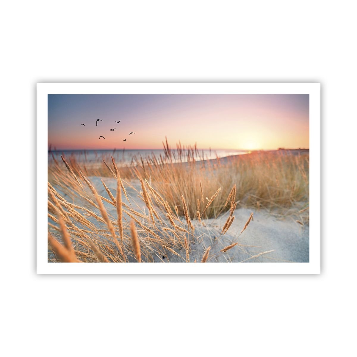 Obraz - Plakat - Bałtycka kołysanka - 91x61cm - Nadmorski Krajobraz Morze Wydma - Foto Plakaty ...