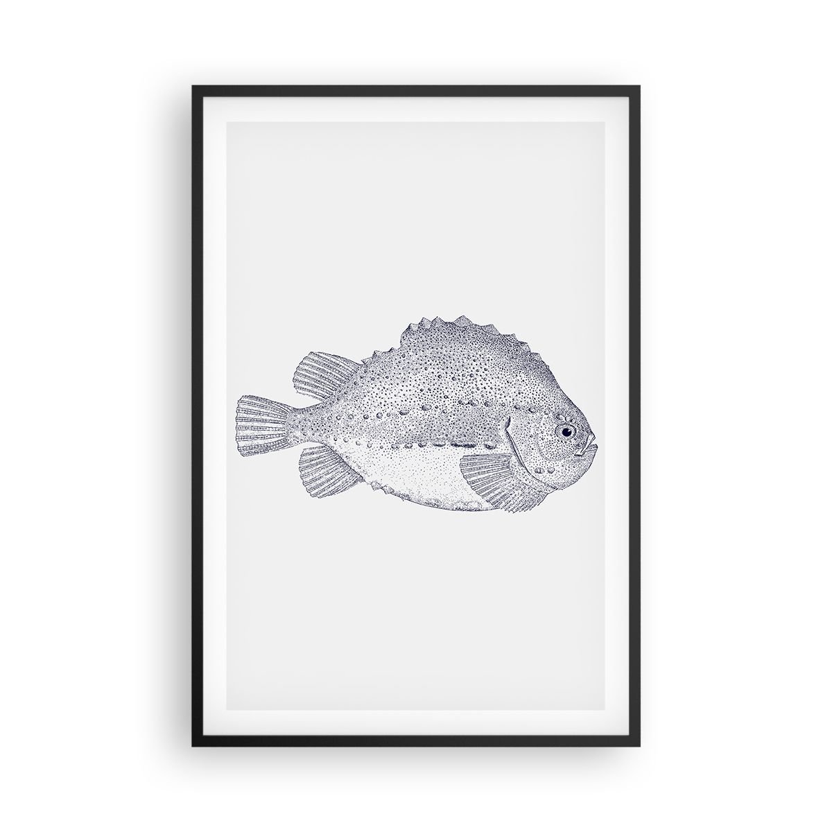 Obraz - Plakat - Do albumu przyrodnika - 61x91cm - Ryba Morski Ocean ...