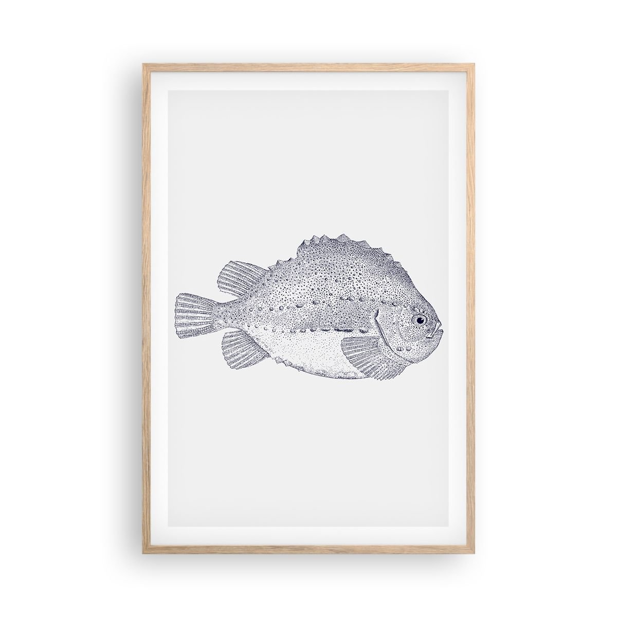 Obraz - Plakat - Do albumu przyrodnika - 61x91cm - Ryba Morski Ocean ...