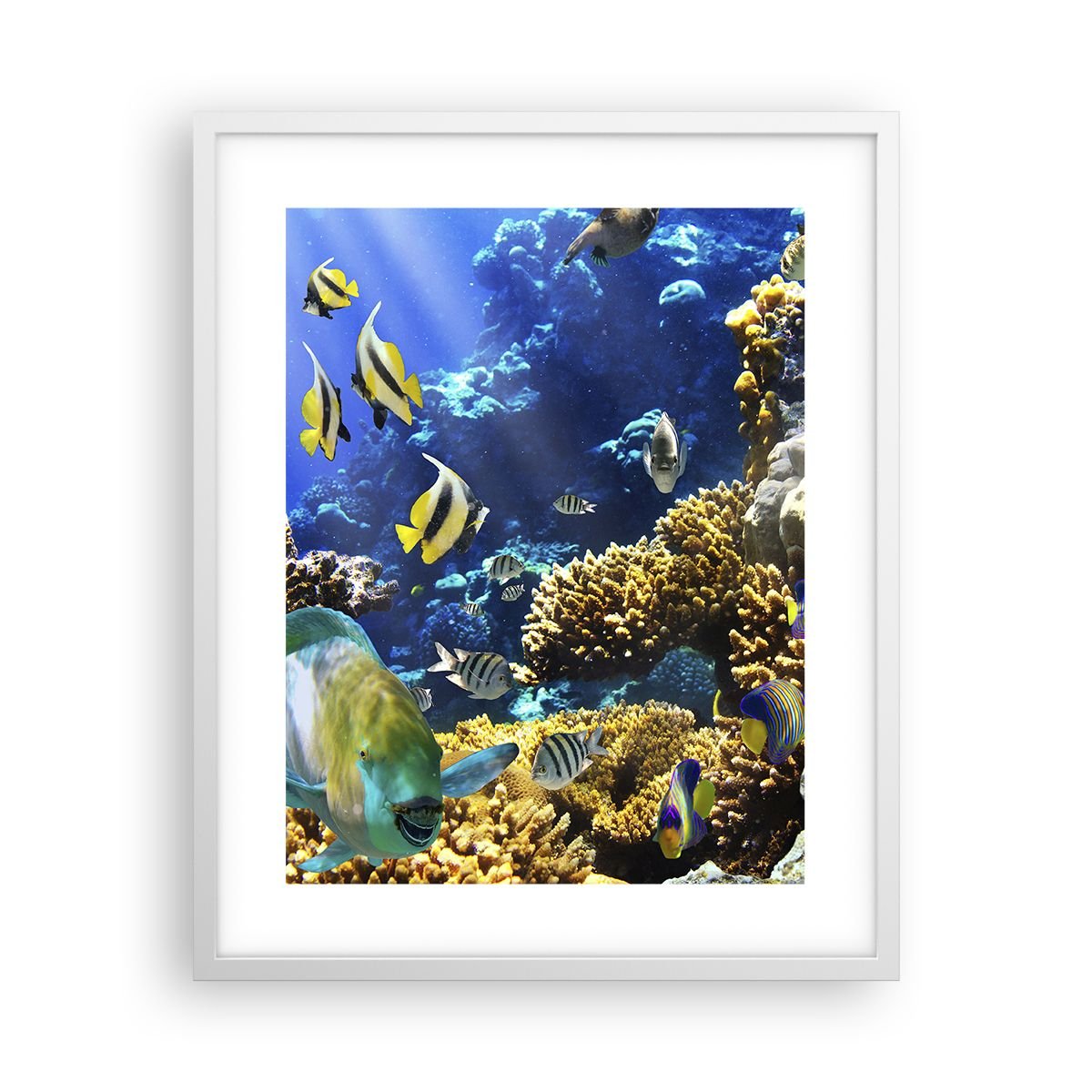 Obraz - Plakat - Duży ruch na wakacyjnym szlaku - 40x50cm - Rafa ...