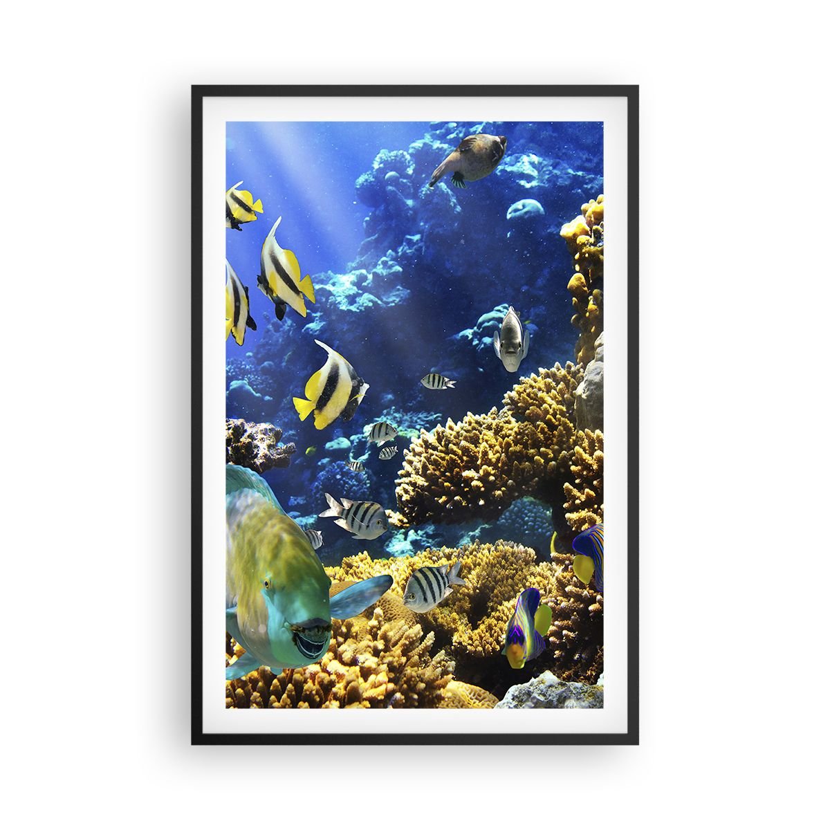 Obraz - Plakat - Duży ruch na wakacyjnym szlaku - 61x91cm - Rafa ...