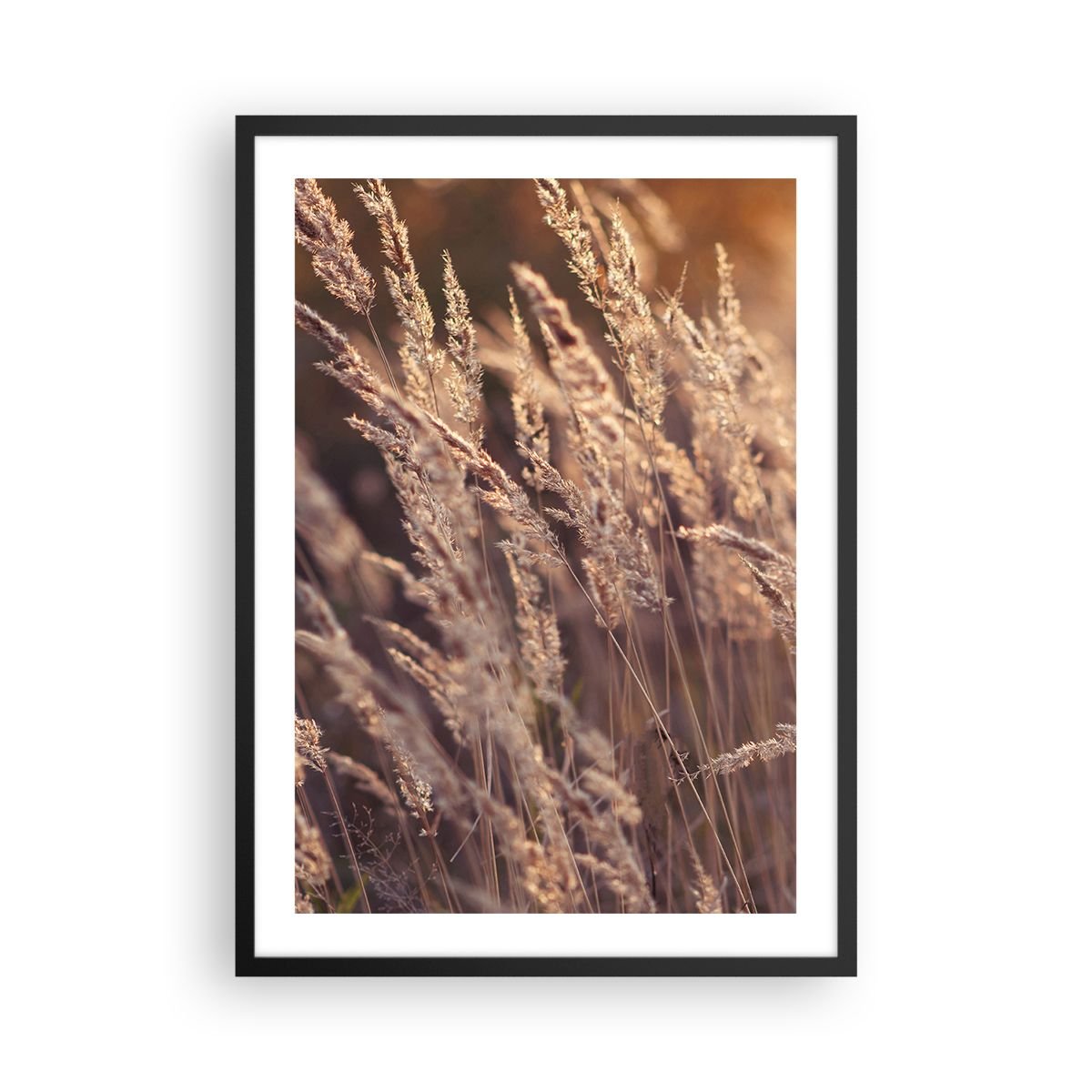 Obraz - Plakat - Gotowe na powitanie jesieni - 50x70cm - Krajobraz ...