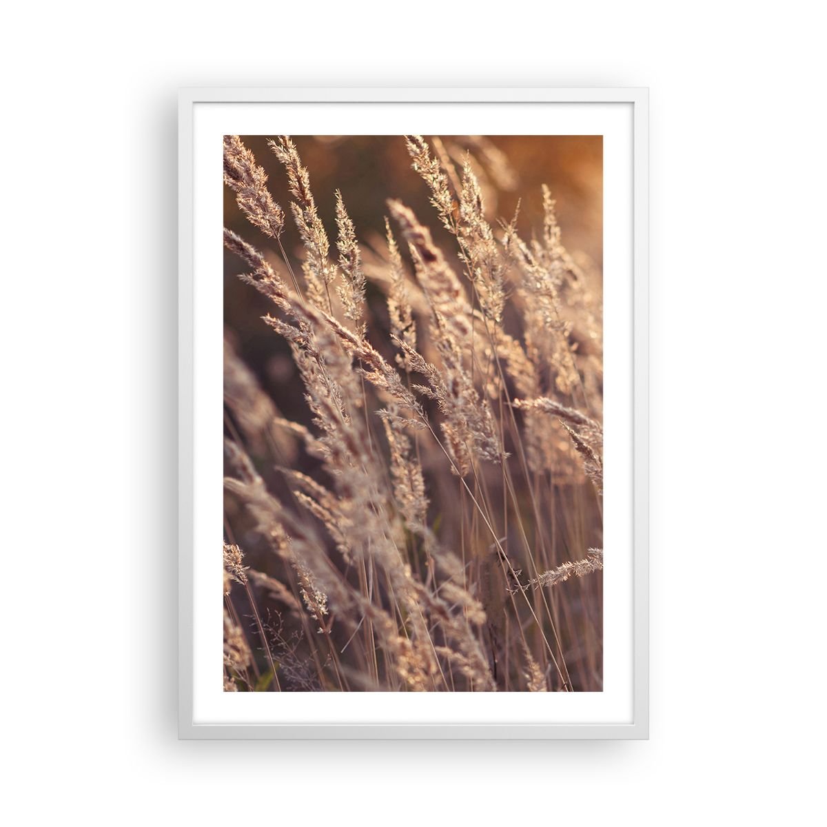 Obraz - Plakat - Gotowe na powitanie jesieni - 50x70cm - Krajobraz ...