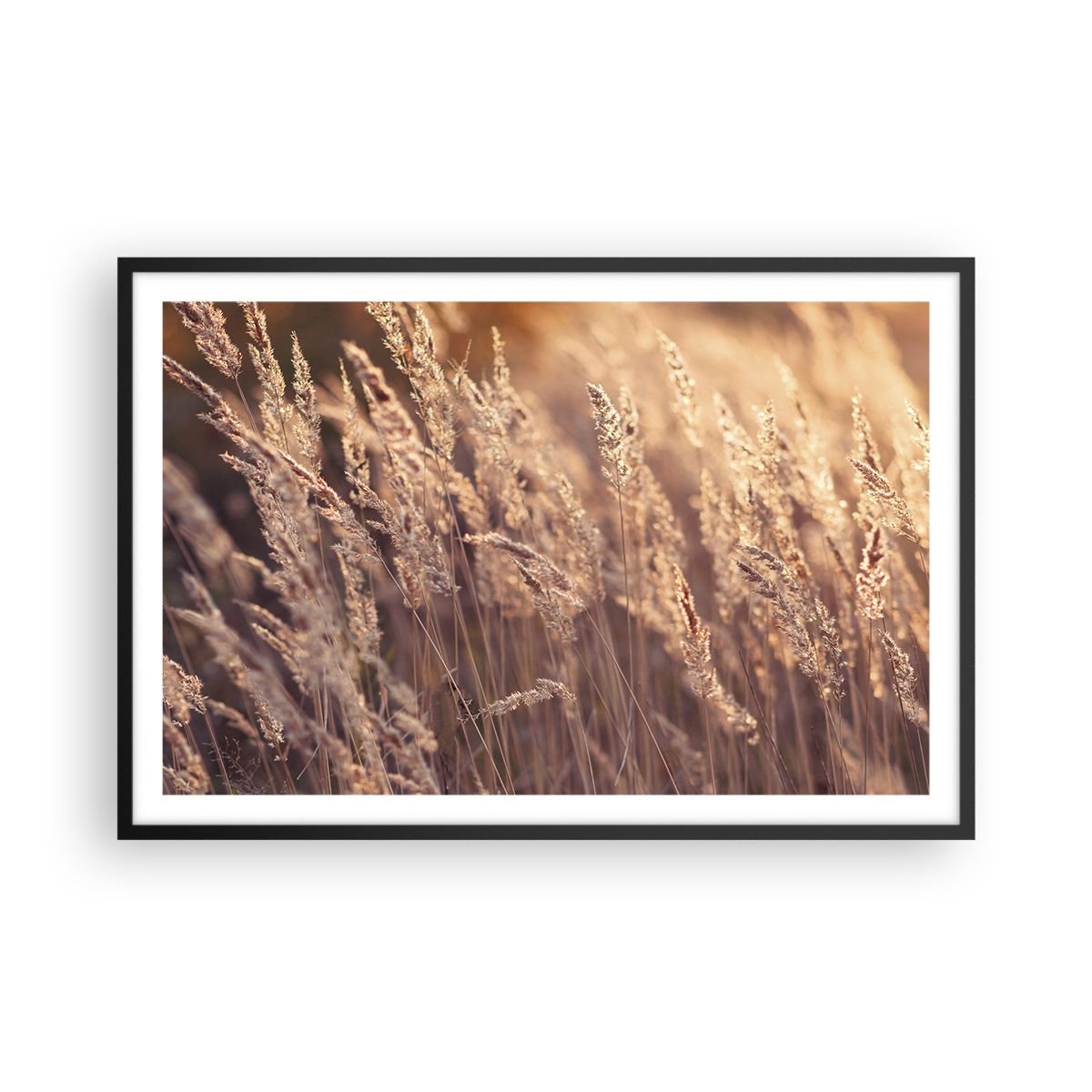 Obraz - Plakat - Gotowe na powitanie jesieni - 91x61cm - Krajobraz ...