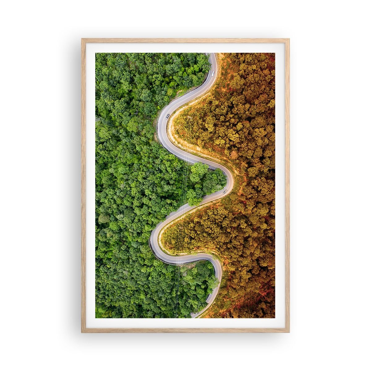 Obraz - Plakat - Granice i przełomy - 70x100cm - Krajobraz Droga ...