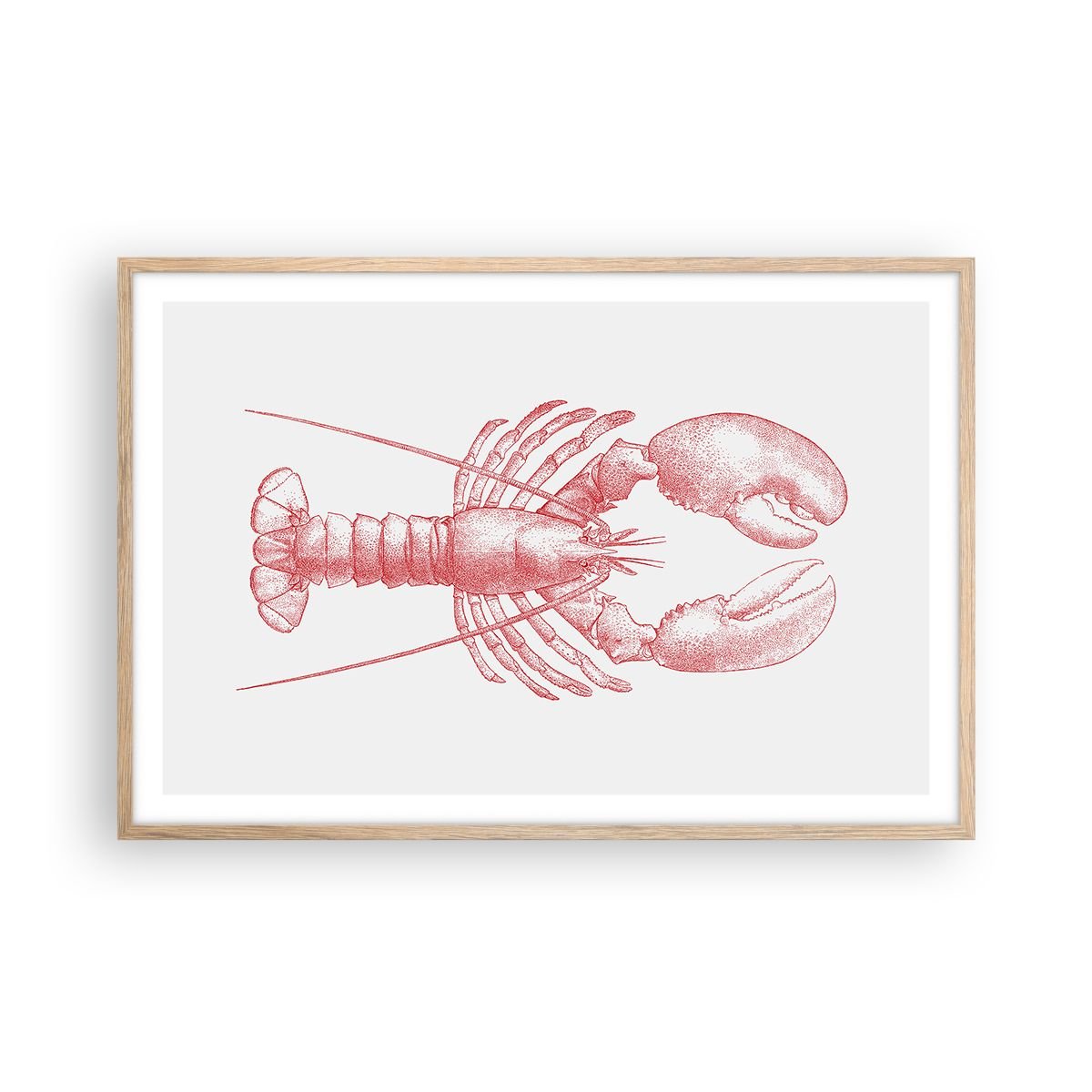 Obraz - Plakat - Homar godny Homera - 91x61cm - Homar Owoce Morza ...