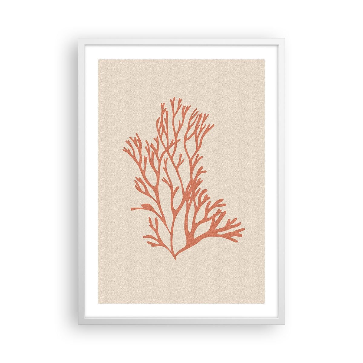 Obraz - Plakat - Koralowy filigran - 50x70cm - Koralowiec Rafa Koralowa ...