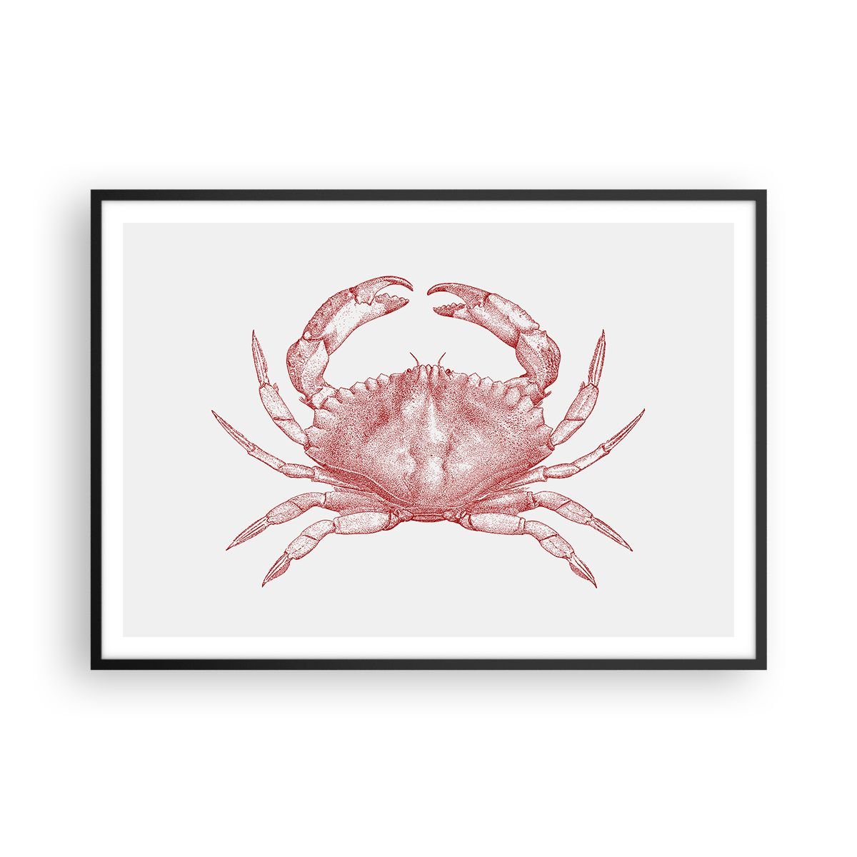 Obraz - Plakat - Krab nad kraby - 100x70cm - Krab Owoce Morza Skorupiak ...