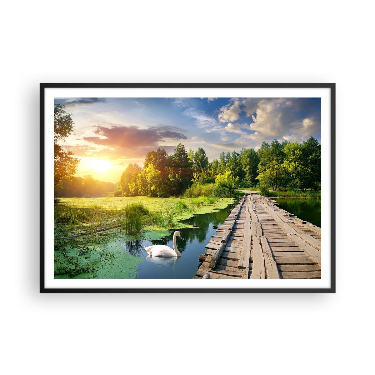 Obraz - Plakat - Lato, lato wszędzie - 100x70cm - Krajobraz Jezioro Las ...