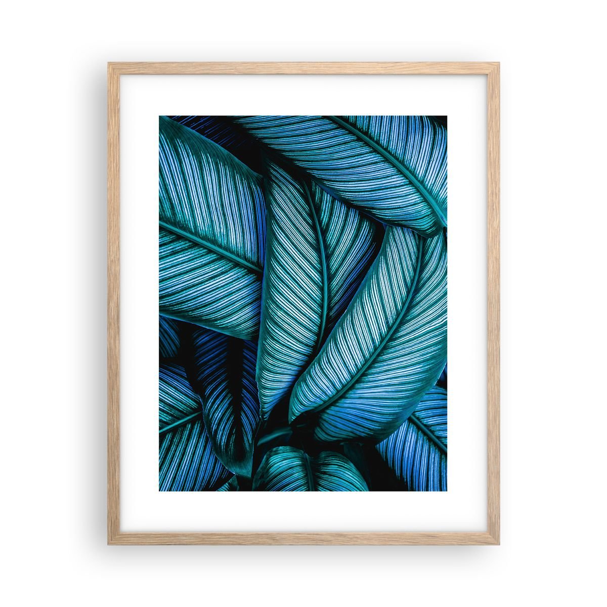 Obraz - Plakat - Linie życia - 40x50cm - Liście Botanika Rośliny - Foto ...