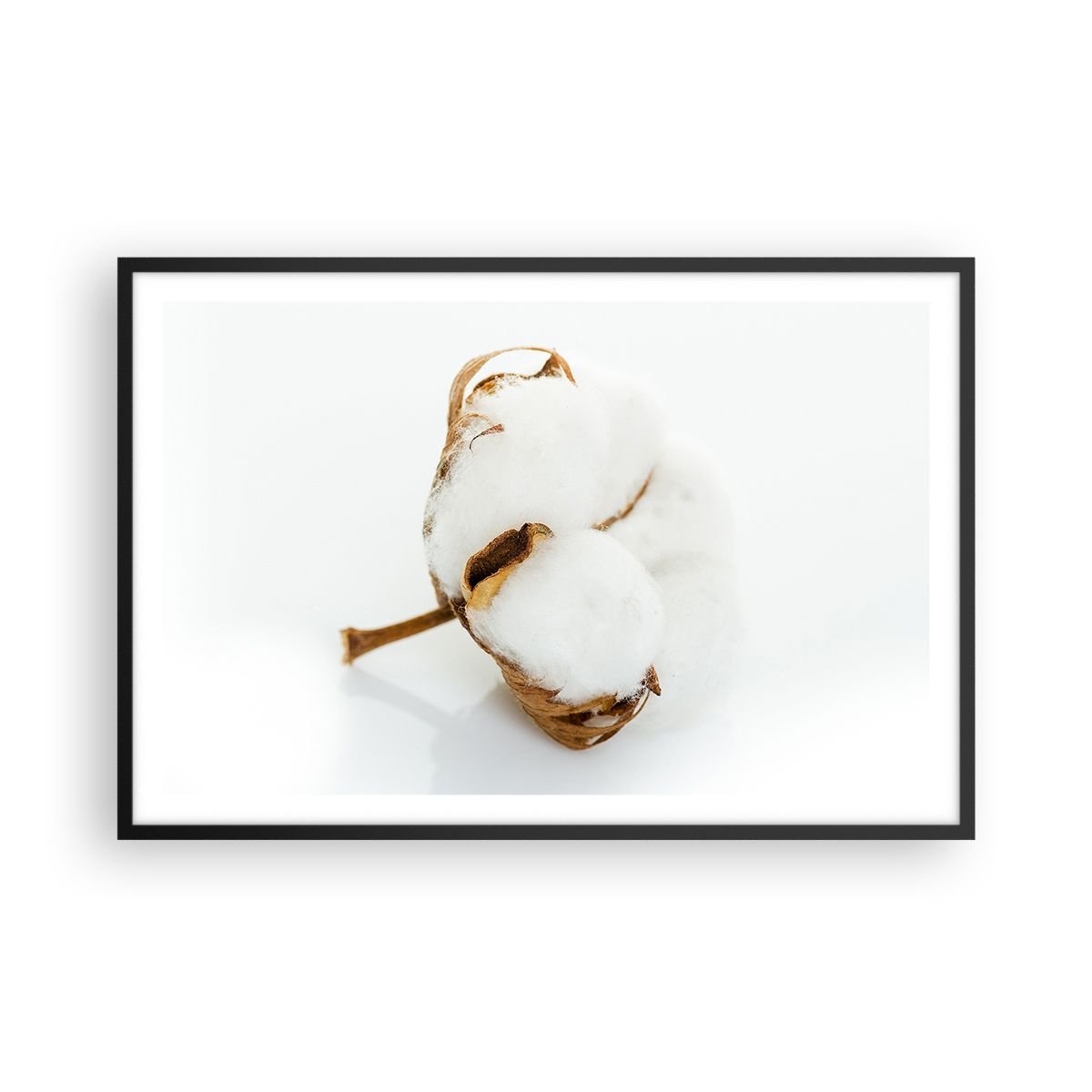 Obraz - Plakat - Miękka z natury - 91x61cm - Bawełna Minimalistyczny ...