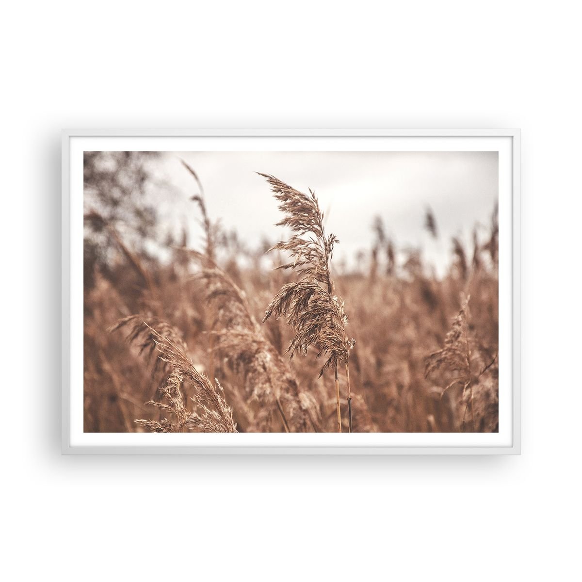Obraz - Plakat - Na polach już jesień - 100x70cm - Krajobraz Łąka ...