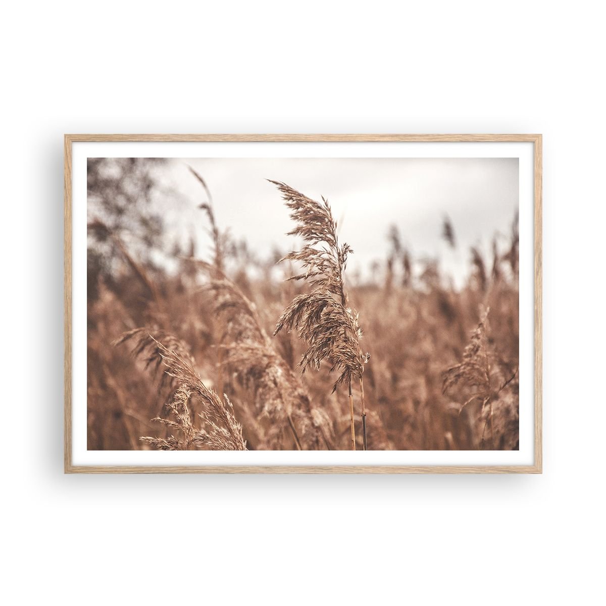 Obraz - Plakat - Na polach już jesień - 100x70cm - Krajobraz Łąka ...