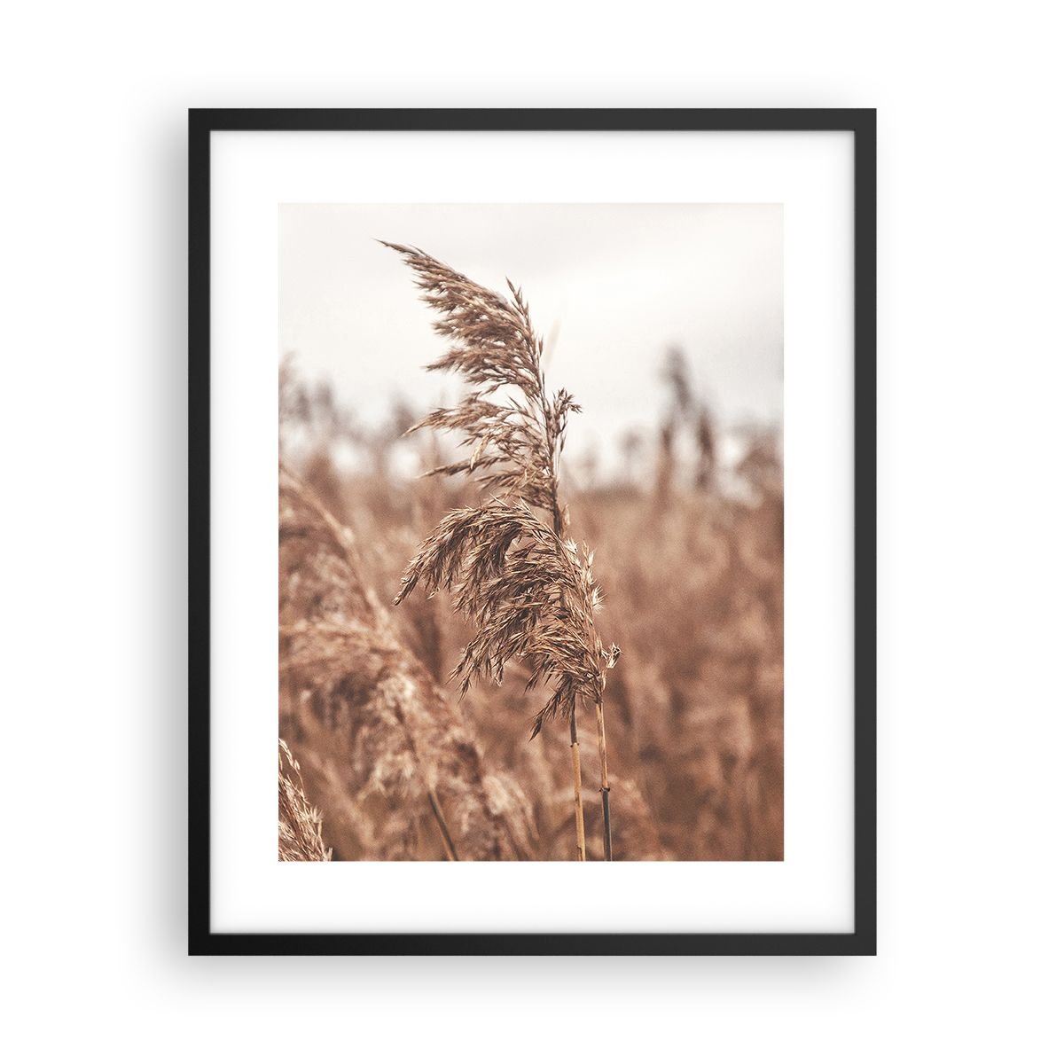 Obraz - Plakat - Na polach już jesień - 40x50cm - Krajobraz Łąka Natura ...