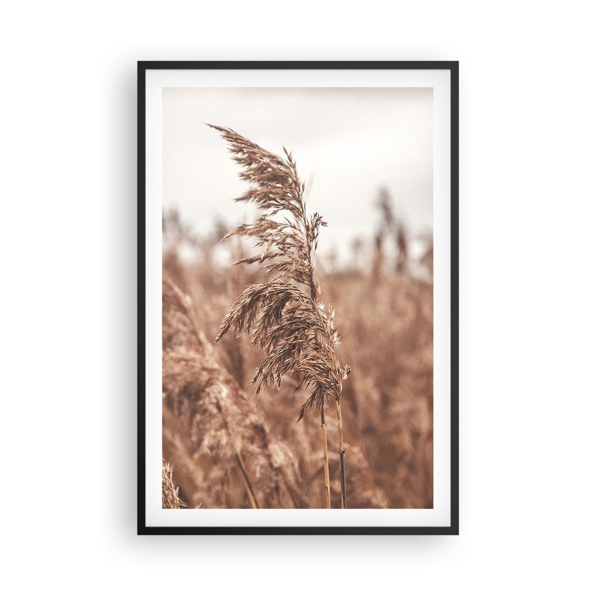 Obraz - Plakat - Na polach już jesień - 61x91cm - Krajobraz Łąka Natura ...