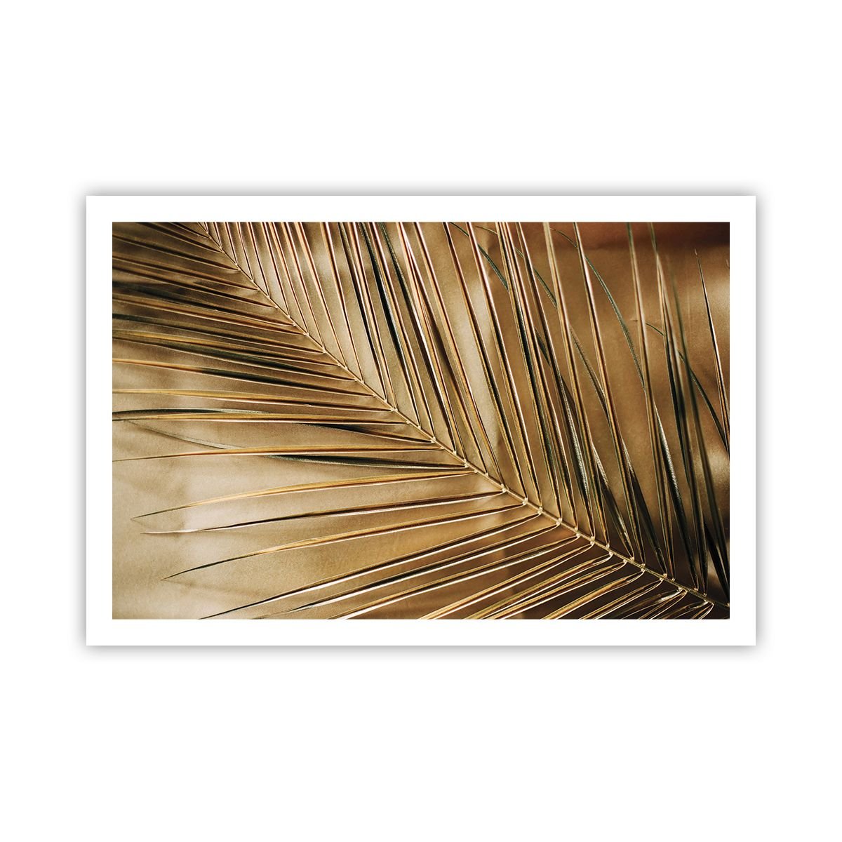 Obraz - Plakat - Naturalna kolumnada - 91x61cm - Liść Palmowy Grafika ...