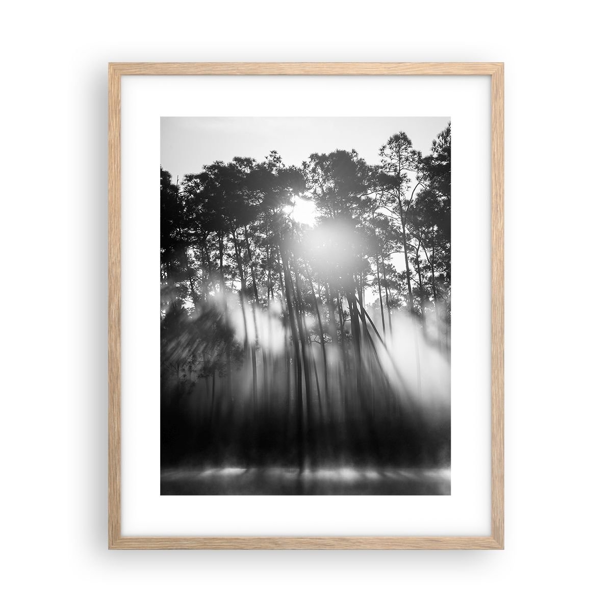 Obraz - Plakat - Niepowstrzymane słońce - 40x50cm - Krajobraz Las ...