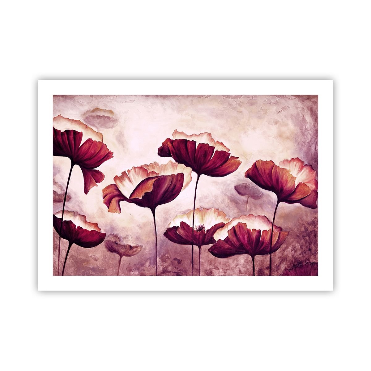 Obraz - Plakat - Płatek czerwony i biały - 70x50cm - Abstrakcja Kwiaty ...