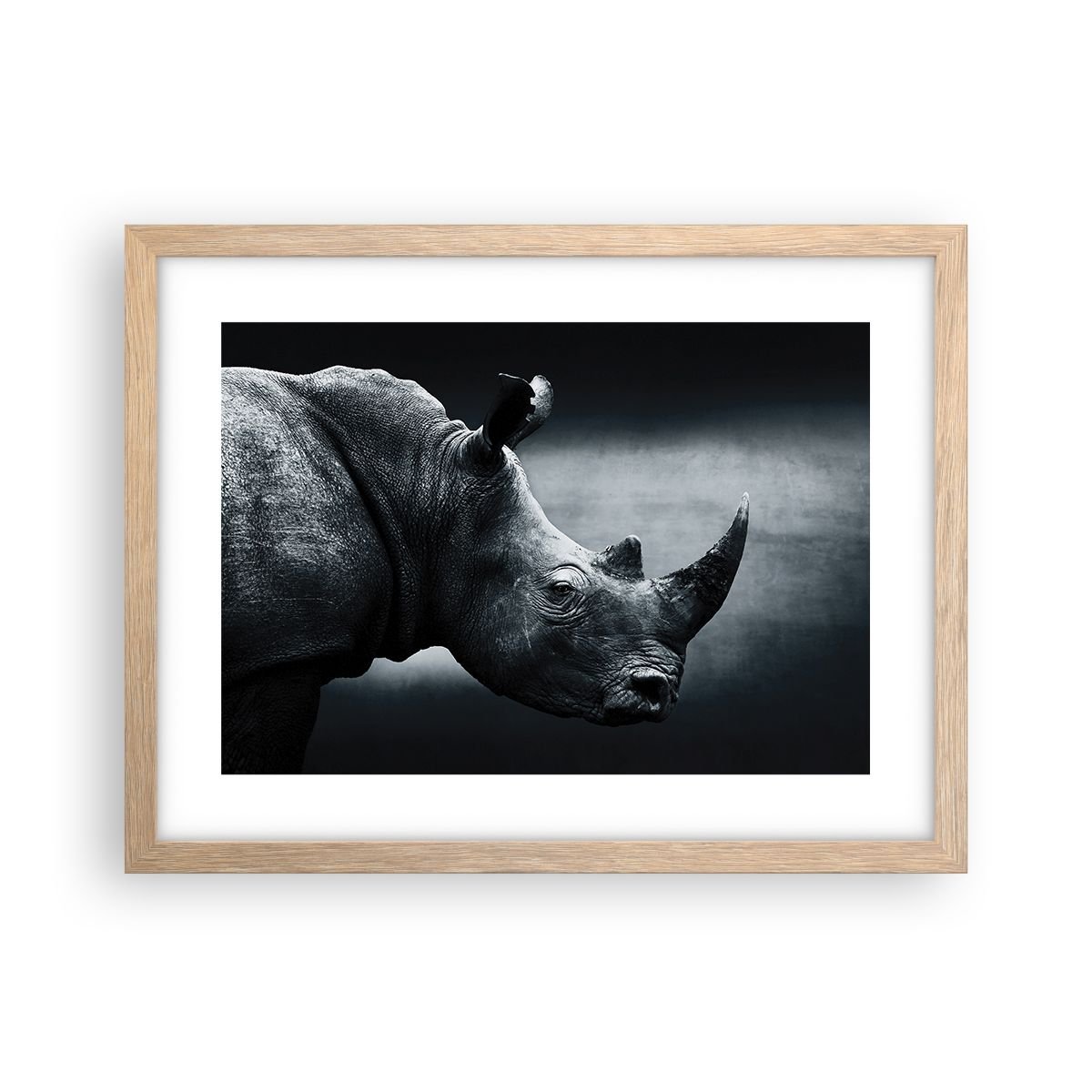 Obraz - Plakat - Prawy profil - 40x30cm - Nosorożec Czarno-Biały ...
