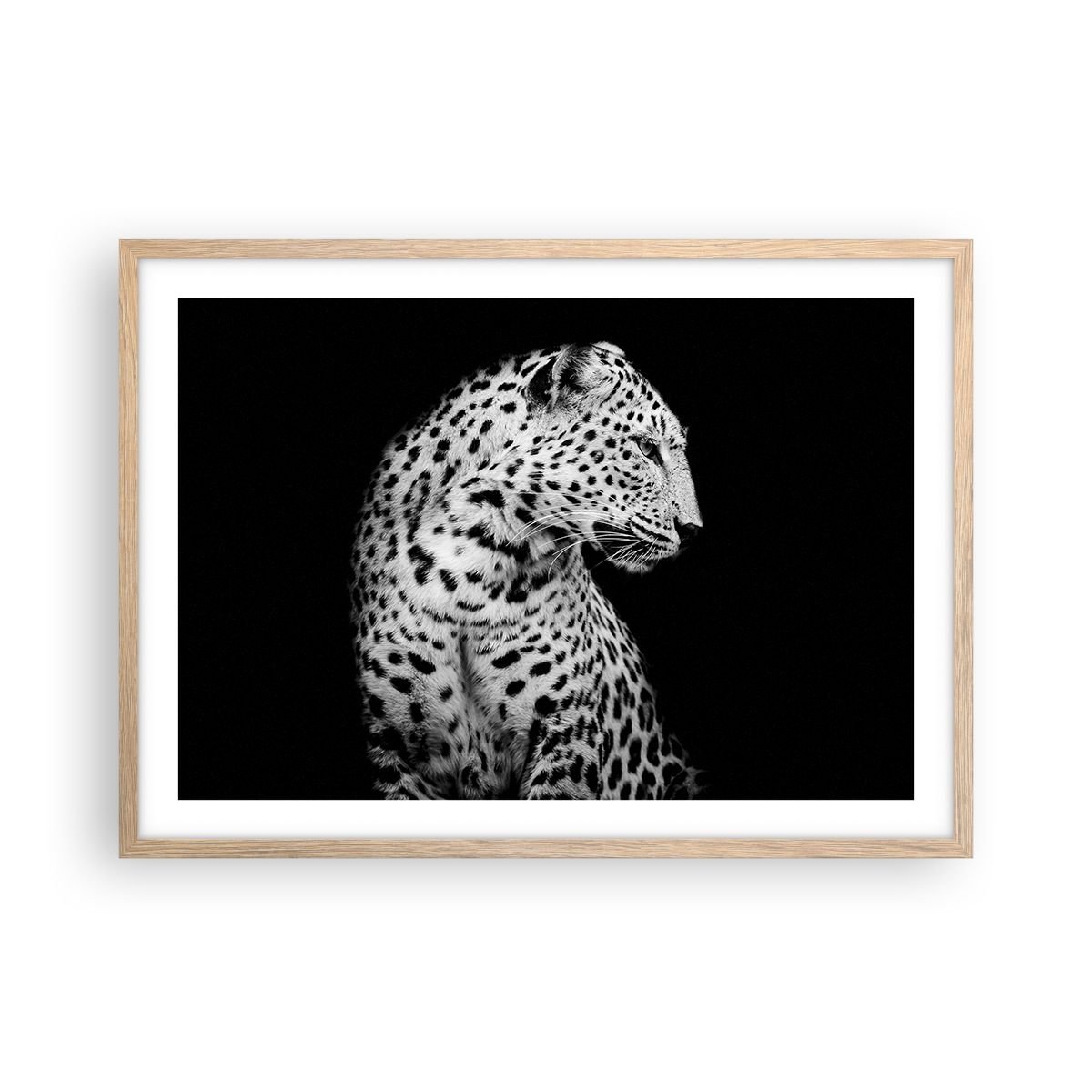 Obraz - Plakat - Prawy profil doskonały! - 70x50cm - Zwierzęta Lampart ...