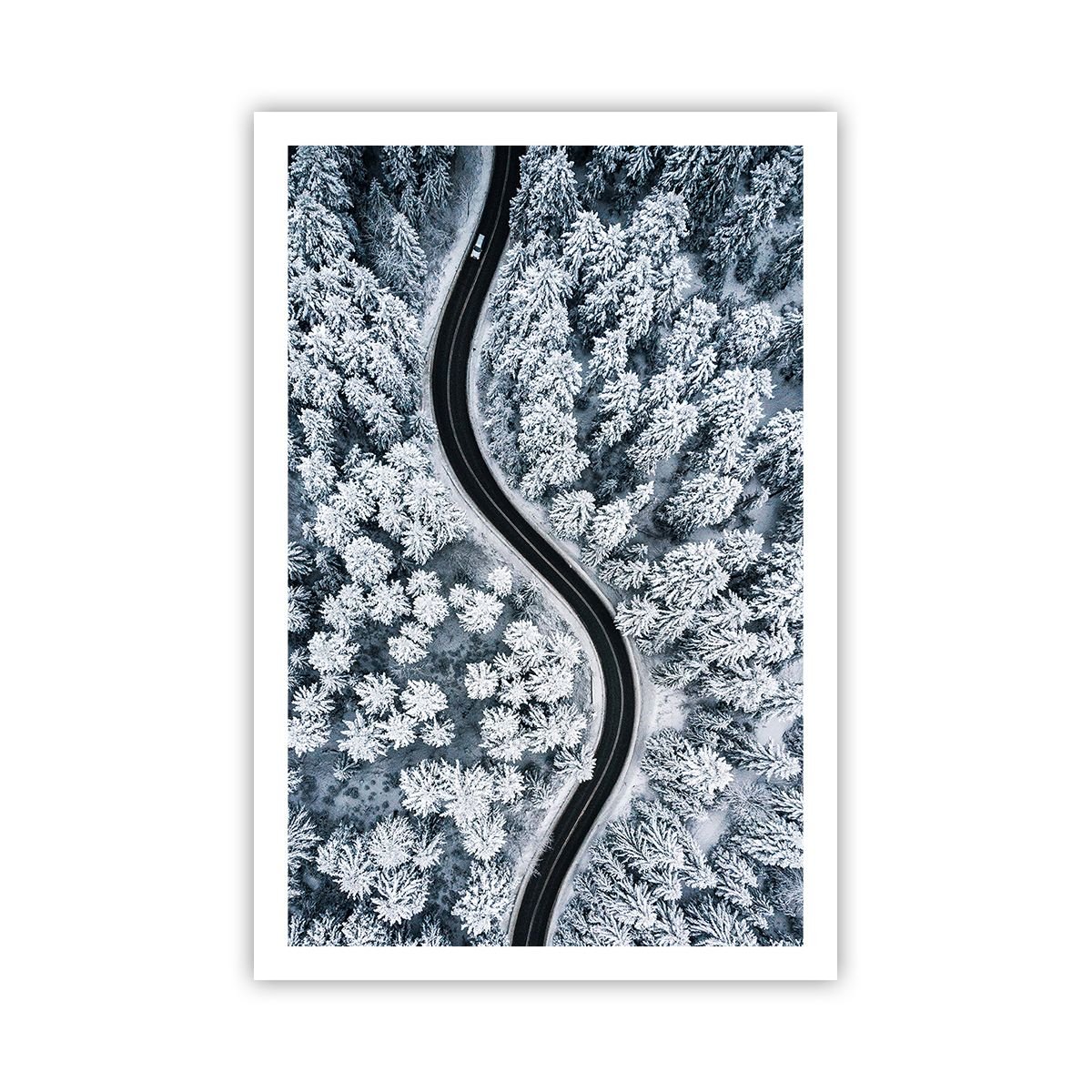 Obraz - Plakat - Przez zimowy las - 61x91cm - Krajobraz Las Droga ...