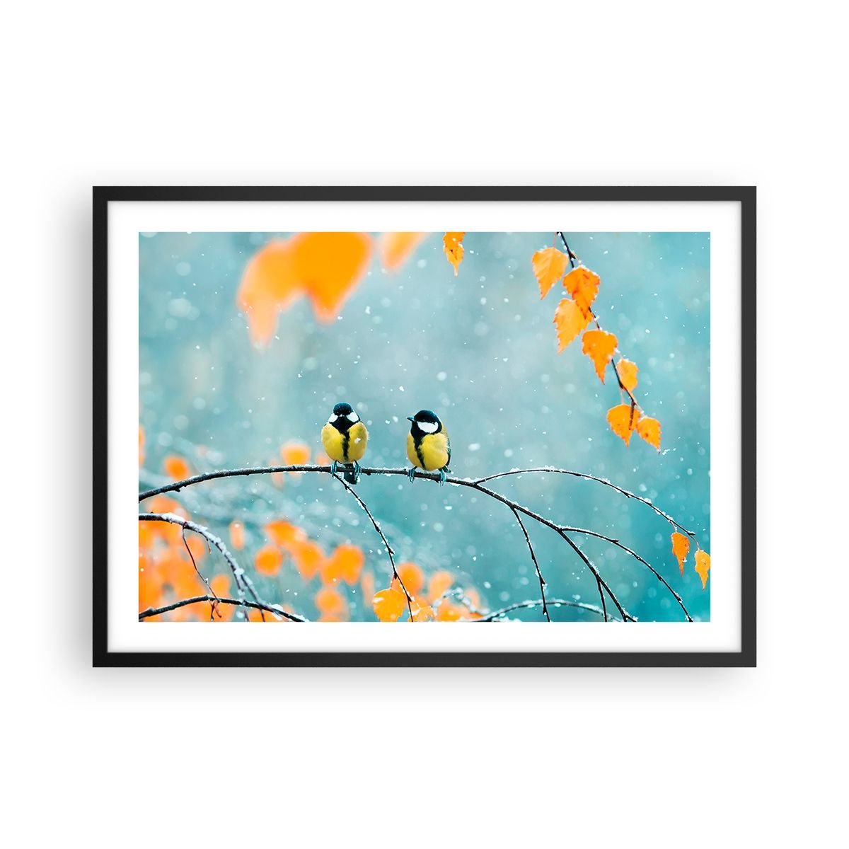 Obraz - Plakat - Ptasie plotki - 70x50cm - Ptaki Natura Zima ... Obraz - Plakat - Ptasie plotki - 70x50cm - Ptaki Natura Zima ...