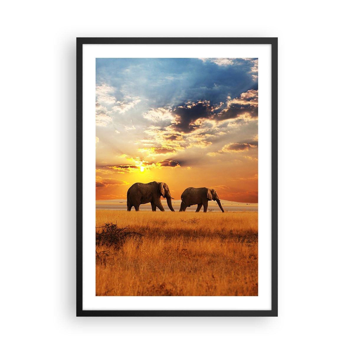 Obraz - Plakat - Rodzinna przechadzka - 50x70cm - Zwierzęta Afryka Słoń - Nowoczesny modny obraz ...