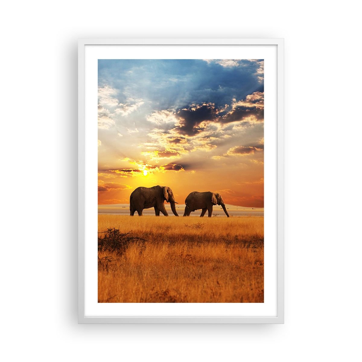 Obraz - Plakat - Rodzinna przechadzka - 50x70cm - Zwierzęta Afryka Słoń - Nowoczesny modny obraz ...