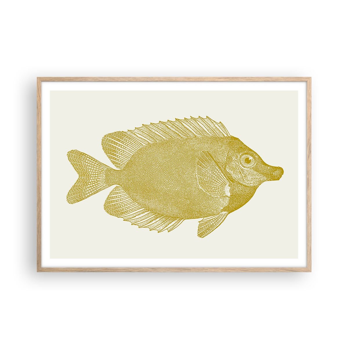 Obraz - Plakat - Ryba i tyle - 100x70cm - Ryba Nadmorski Zwierzę - Foto ...