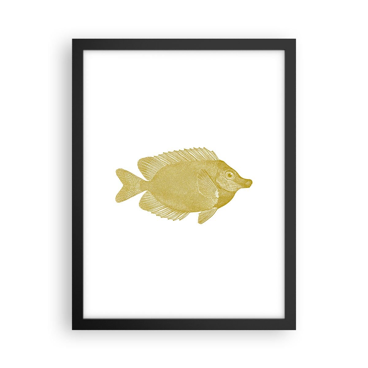 Obraz - Plakat - Ryba i tyle - 30x40cm - Ryba Nadmorski Zwierzę - Foto ...