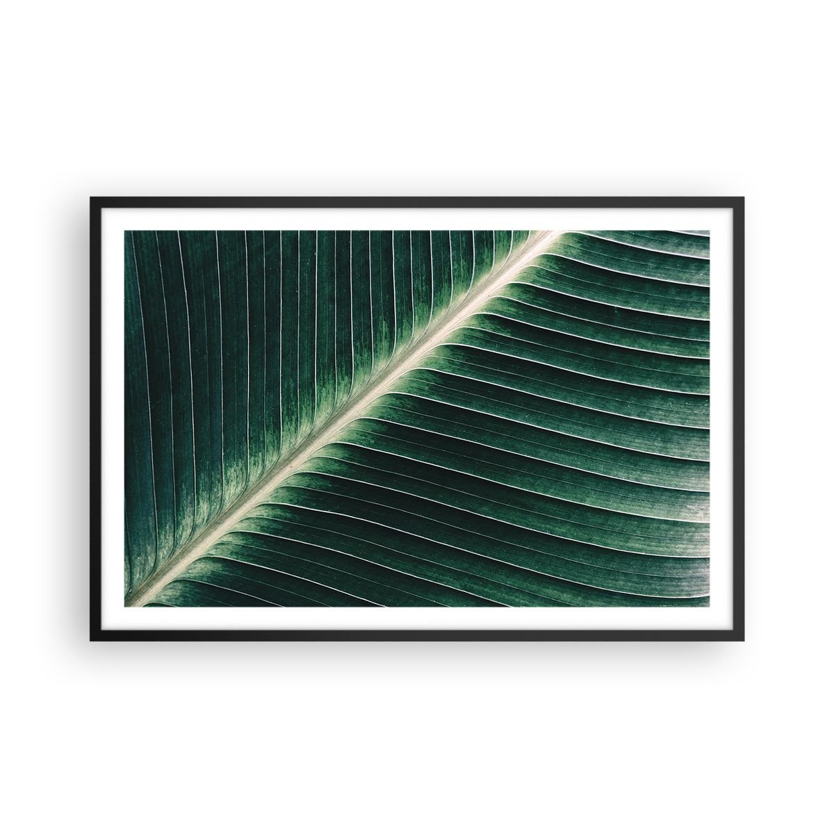 Obraz - Plakat - Rytm natury - 91x61cm - Abstrakcja Zielony Liść ...