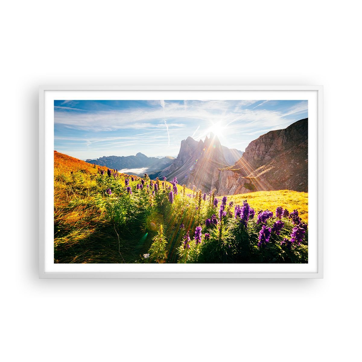 Obraz - Plakat - Sekretne życie ziół - 91x61cm - Krajobraz Góry Szlaki Górskie - Foto Plakaty na ...