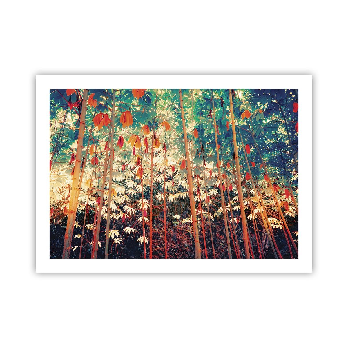 Obraz - Plakat - Tajemne życie liści - 70x50cm - Las Tropikalny Natura ... Obraz - Plakat - Tajemne życie liści - 70x50cm - Las Tropikalny Natura ...