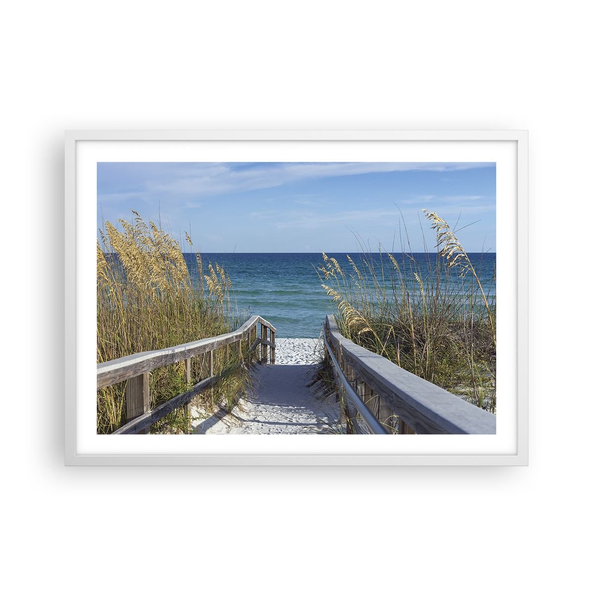 Obraz - Plakat - W słońcu, na wietrze - 70x50cm - Krajobraz Morska ...
