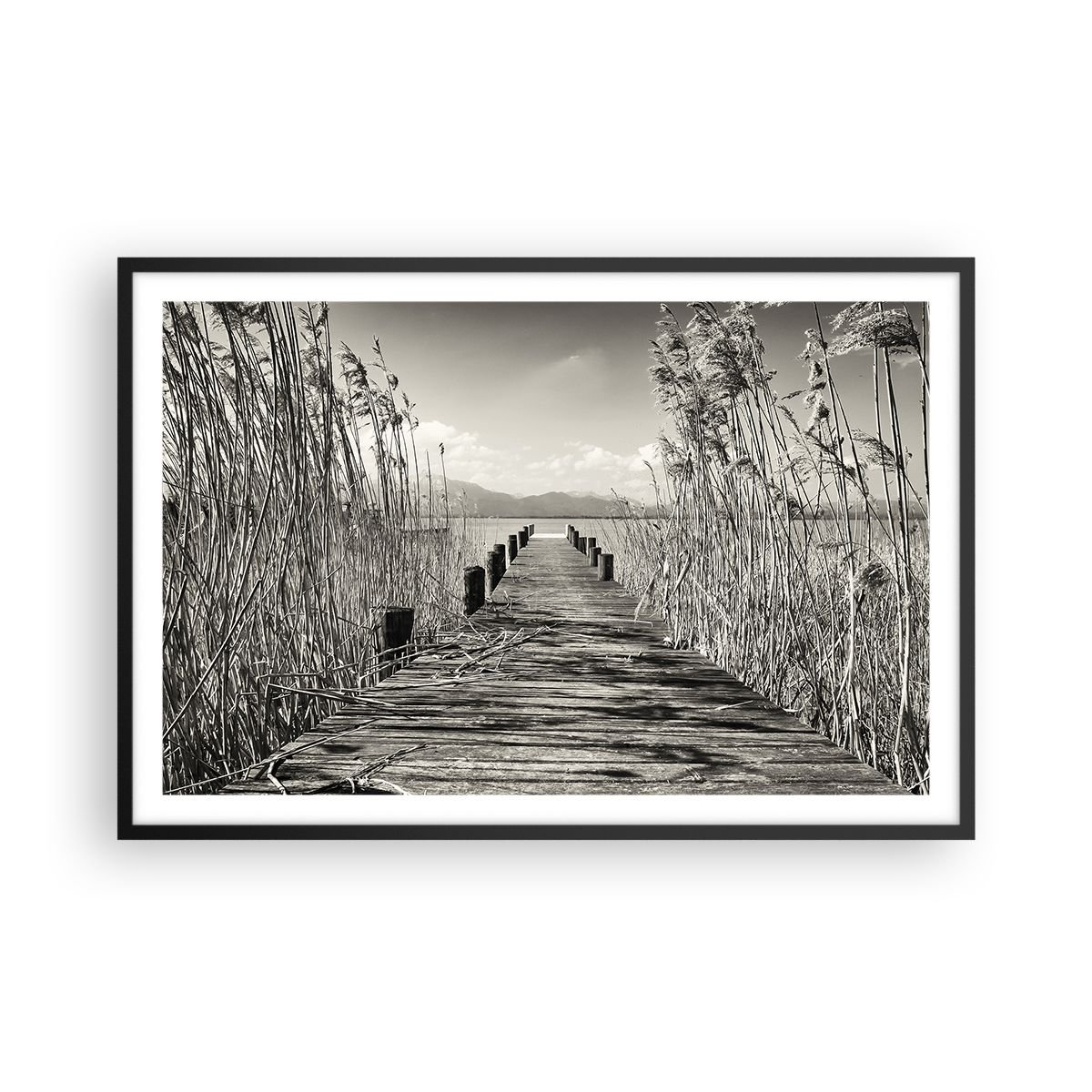 Obraz - Plakat - W zaciszu traw - 91x61cm - Krajobraz Jezioro Trzcina - Foto Plakaty na ścianę w ...