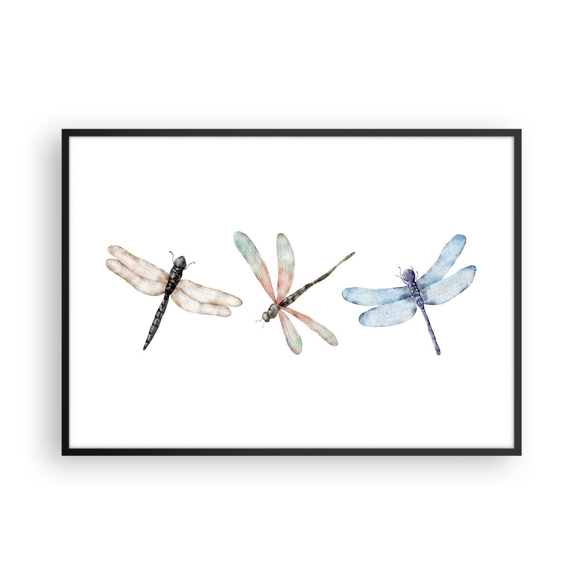 Obraz - Plakat - Ważki nieważkie - 100x70cm - Owady Minimalistyczny ...