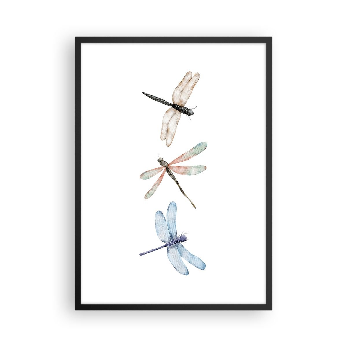 Obraz - Plakat - Ważki nieważkie - 50x70cm - Owady Minimalistyczny ...