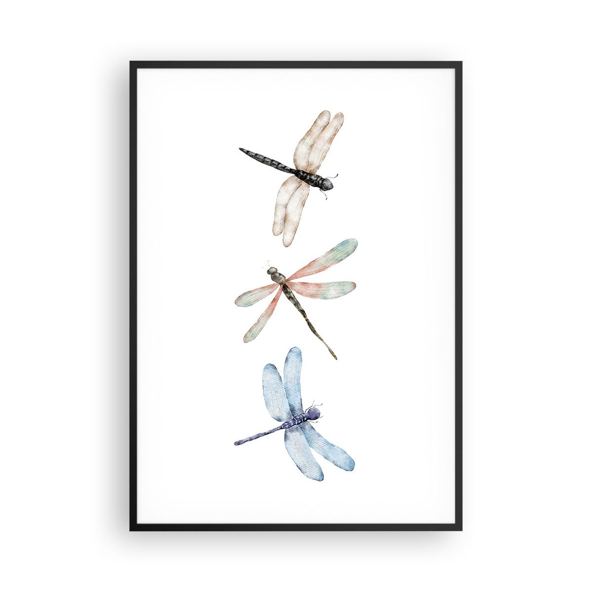 Obraz - Plakat - Ważki nieważkie - 70x100cm - Owady Minimalistyczny ...