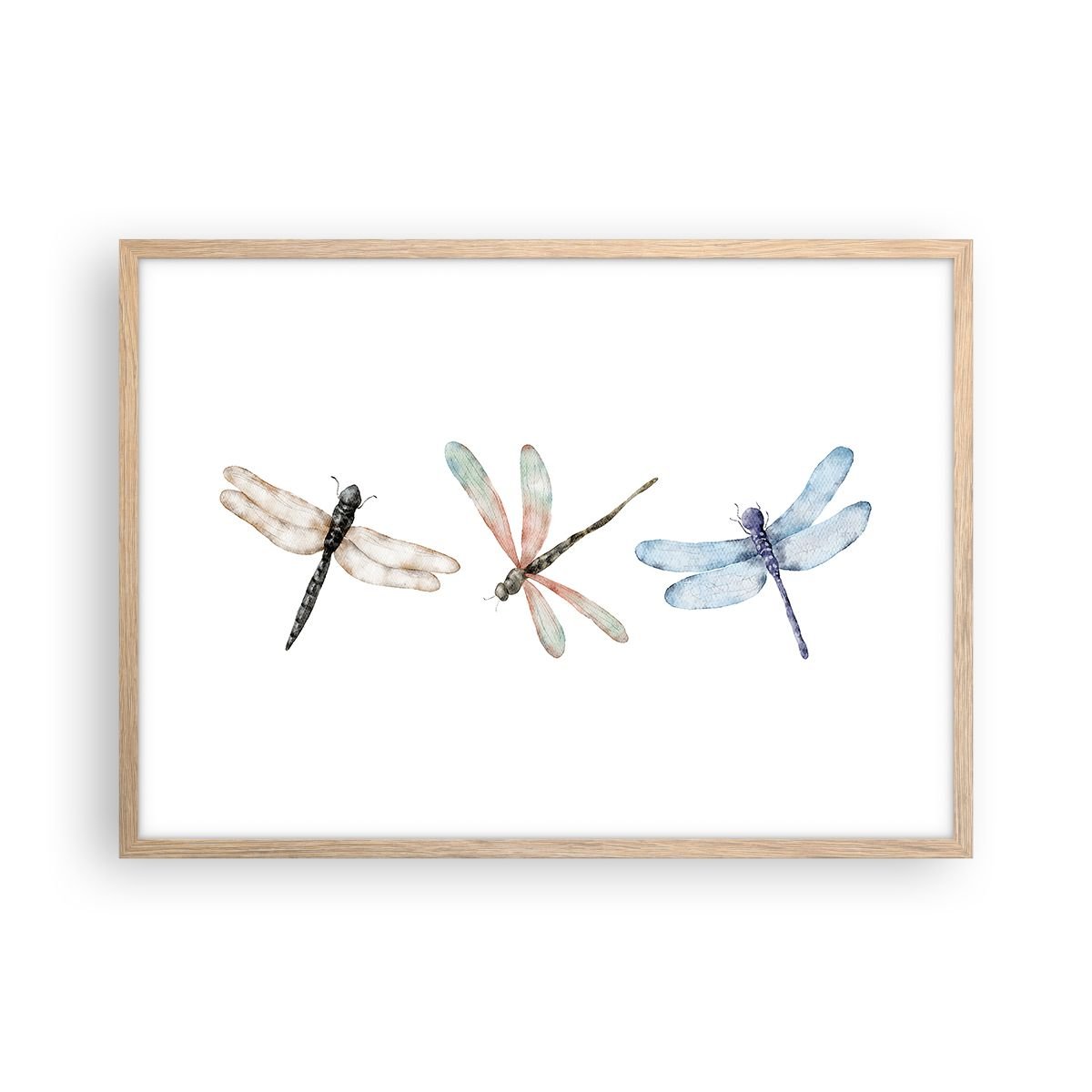 Obraz - Plakat - Ważki nieważkie - 70x50cm - Owady Minimalistyczny ...