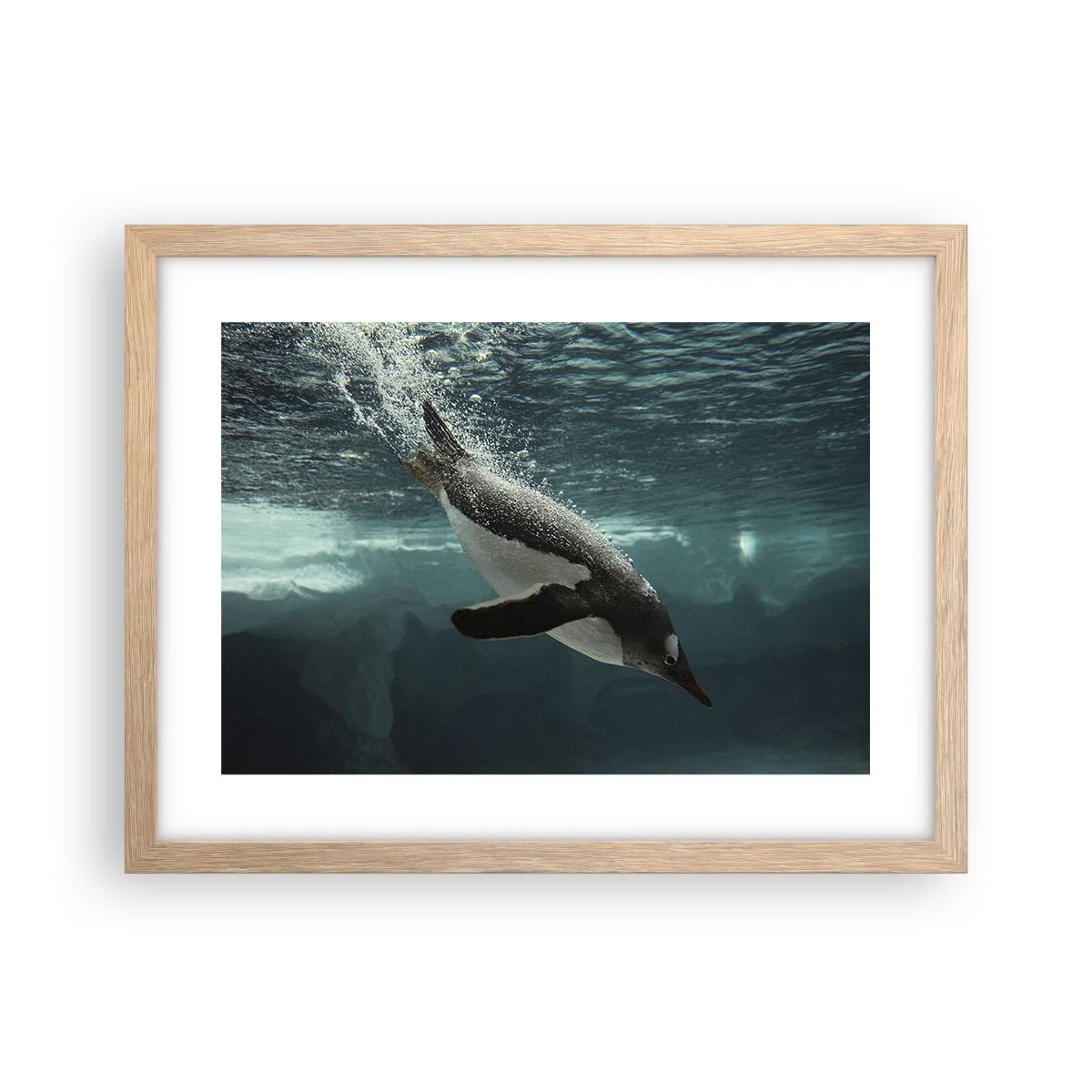 Obraz - Plakat - Witaj w moim świecie - 40x30cm - Pingwin Zwierzęta ...