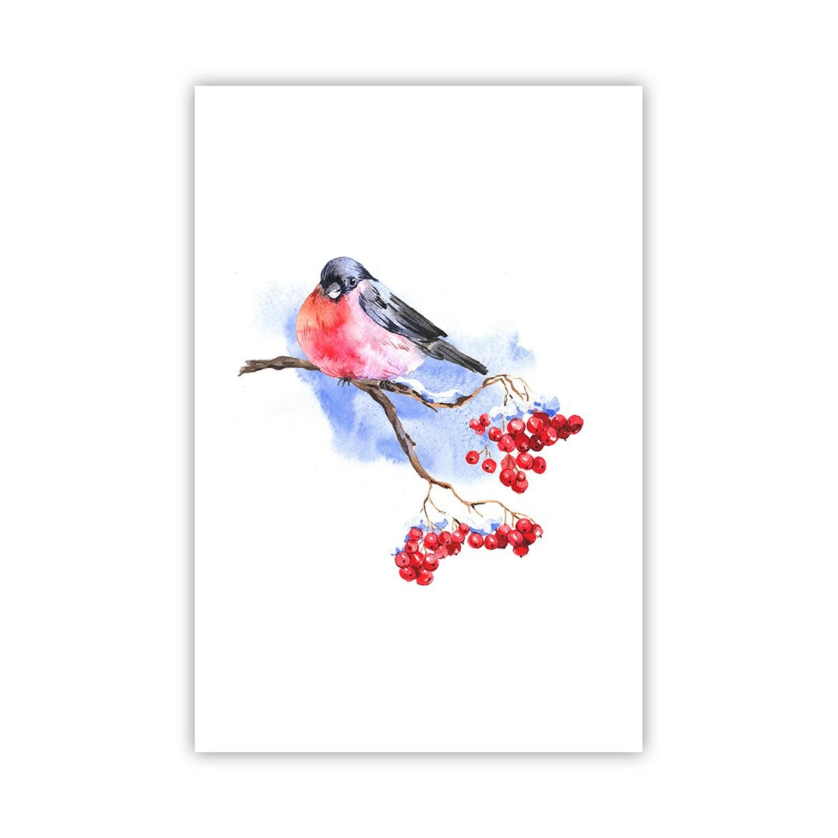 Obraz - Plakat - Zima w kolorze - 61x91cm - Ptak Na Gałęzi Czerwona ...