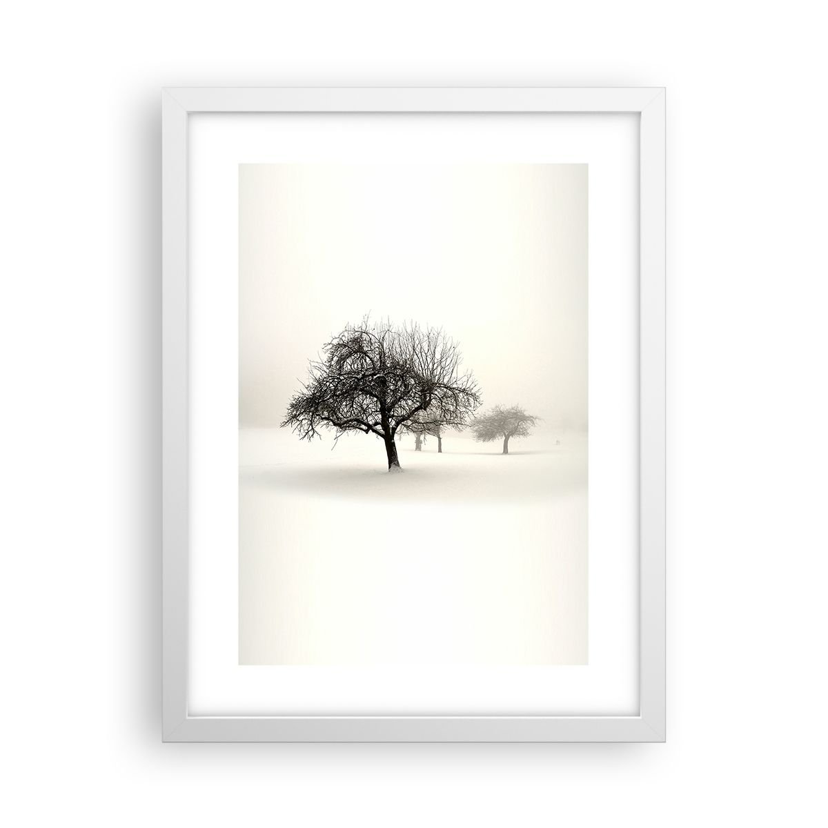 Obraz - Plakat - Zimowy sen - 30x40cm - Grafika Drzewo Natura - Foto ...