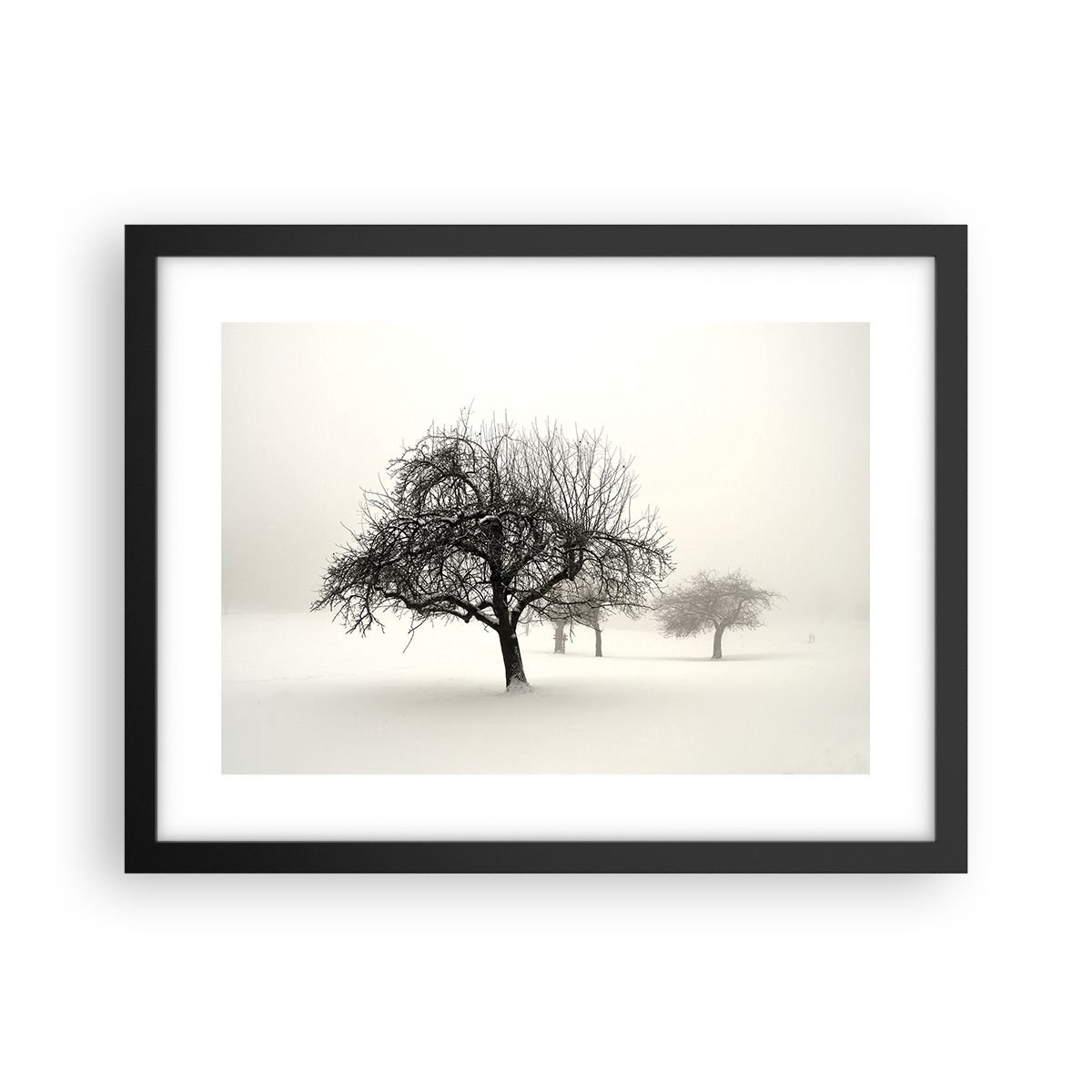 Obraz - Plakat - Zimowy sen - 40x30cm - Grafika Drzewo Natura - Foto ...