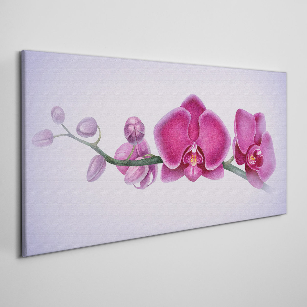 Obraz płótno Akwarela kwiat gałąź orchidea 100x50 - Coloray | Sklep EMPIK.COM