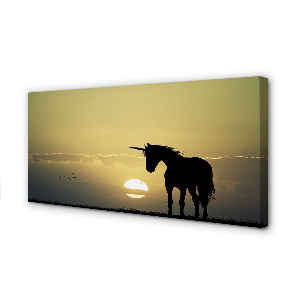 Obraz płótno TULUP Pole zachód słońca jednorożec, 100x50 cm cm - Tulup ...