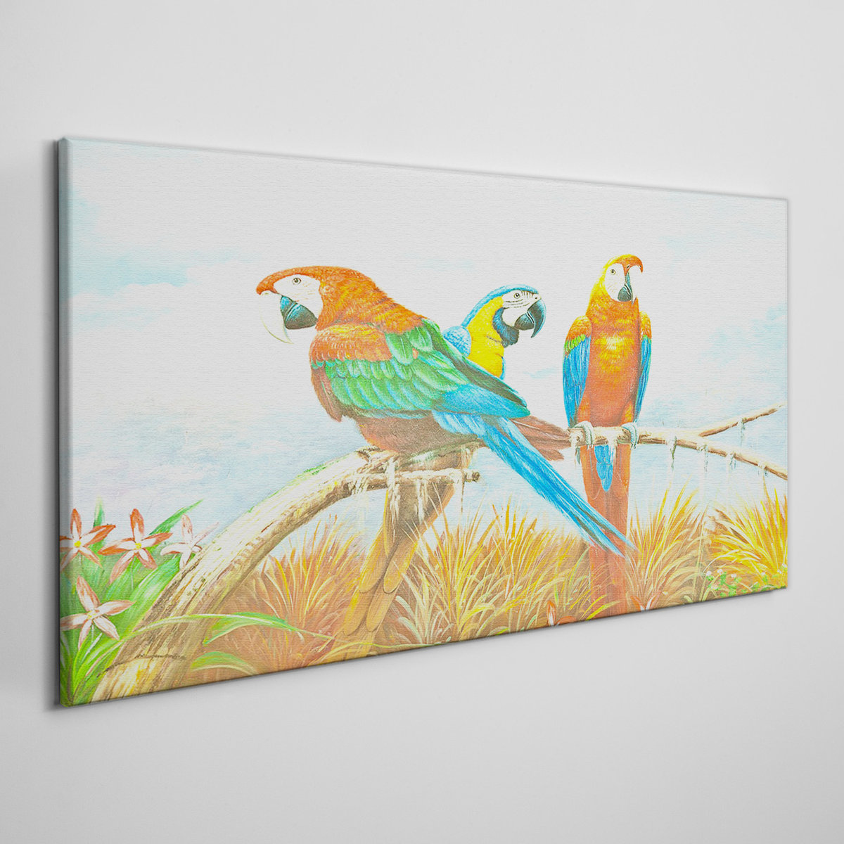 Obraz płótno Zwierzę ptaki papuga chmury 100x50 cm - Coloray | Sklep ...