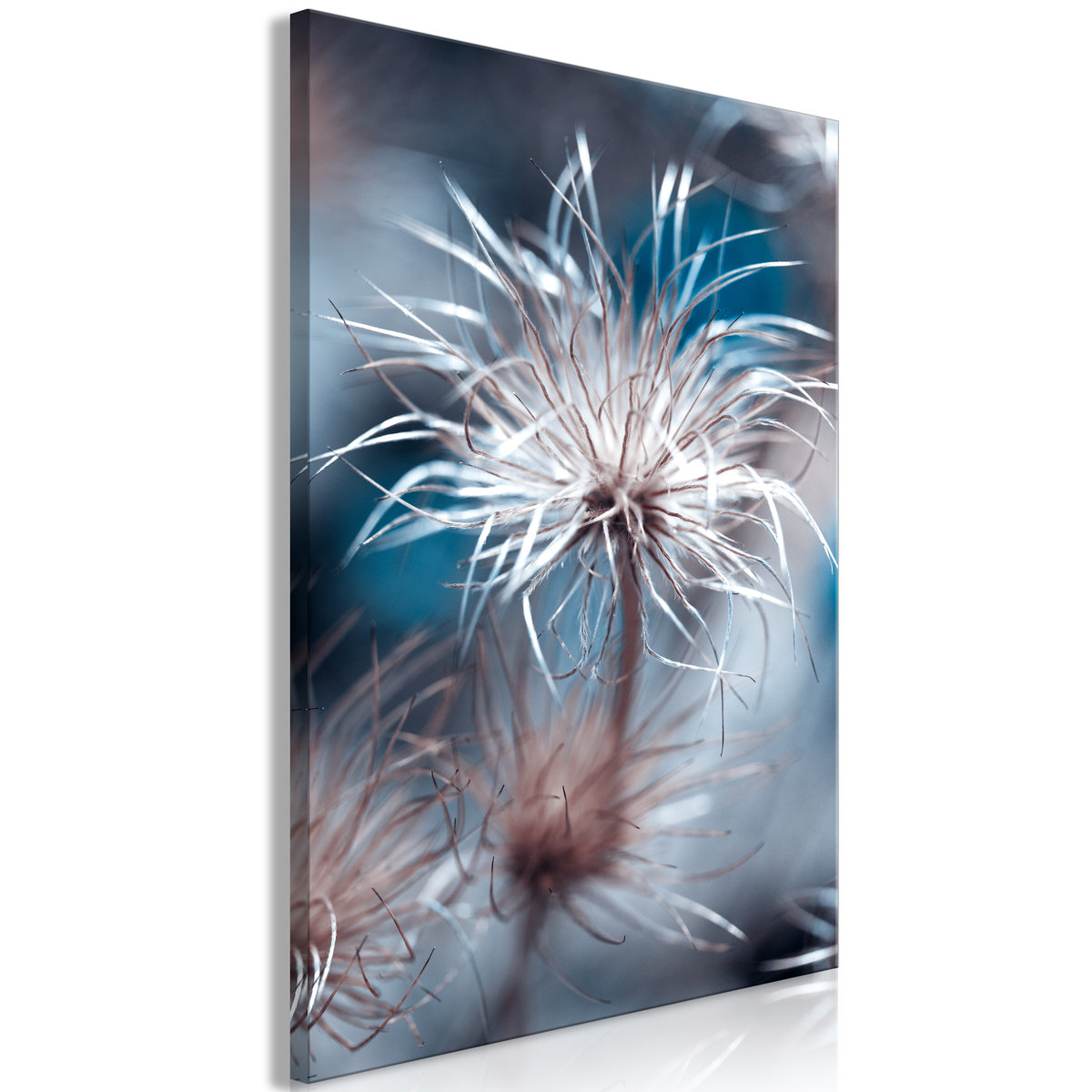 Obraz - RoĹ›lina w błękitach (1-częściowy) pionowy 20x30 Premium Print ...
