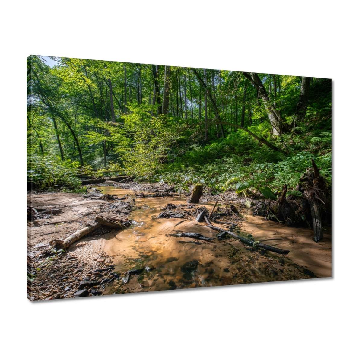 Obraz Rzeka Las Tropiki, 70x50cm - ZeSmakiem | Sklep EMPIK.COM