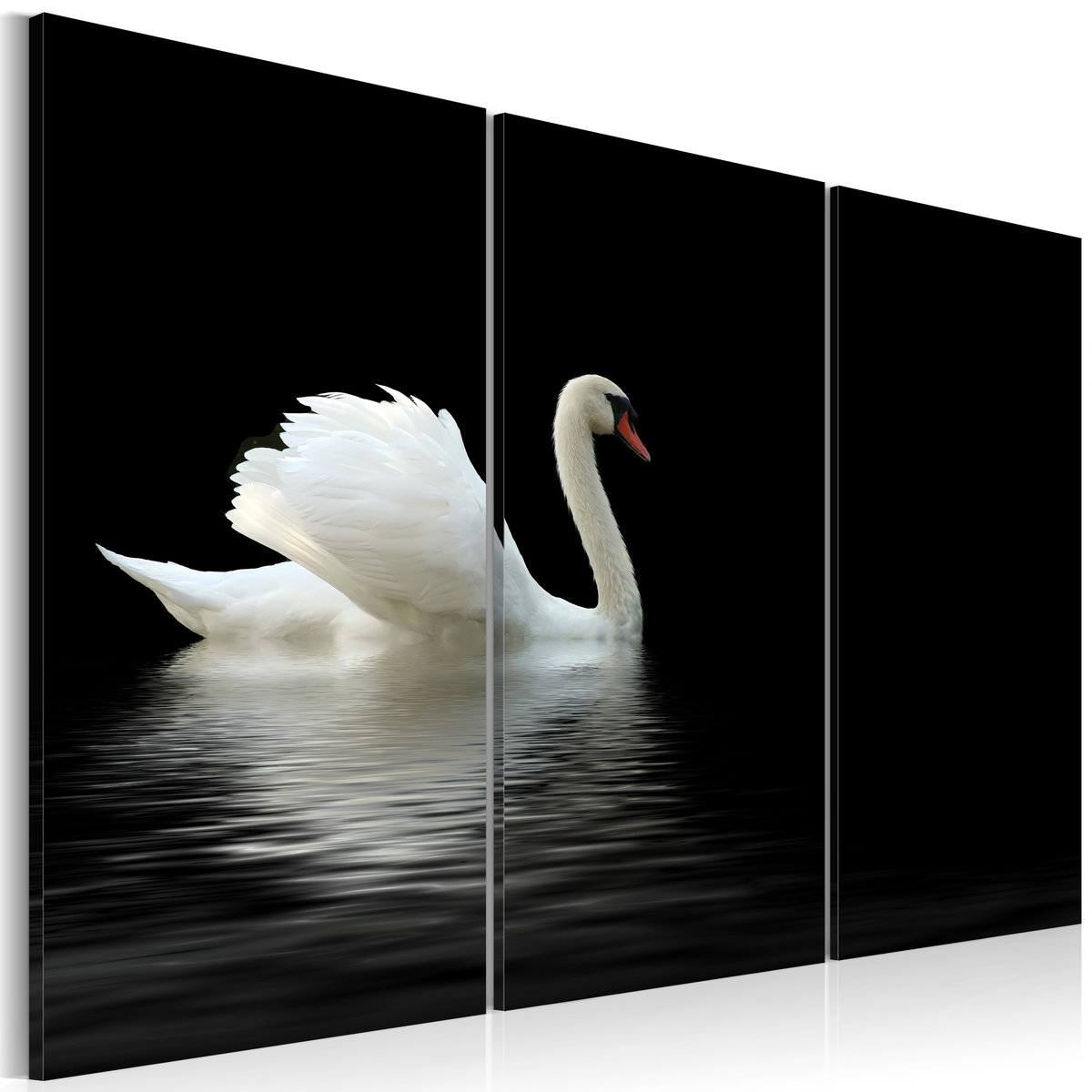 Obraz - Samotny biały łabędĹş 60x40 Standard Płótno flizelinowe 147 g ...